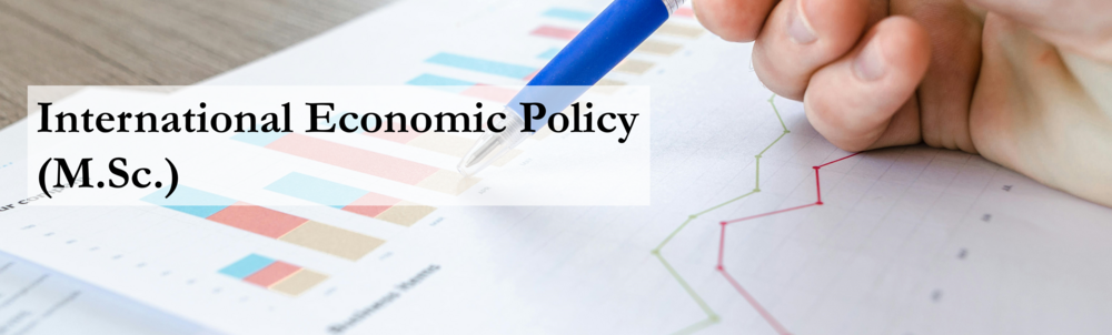 Master International Economic Policy - Wirtschaftswissenschaftliche ...